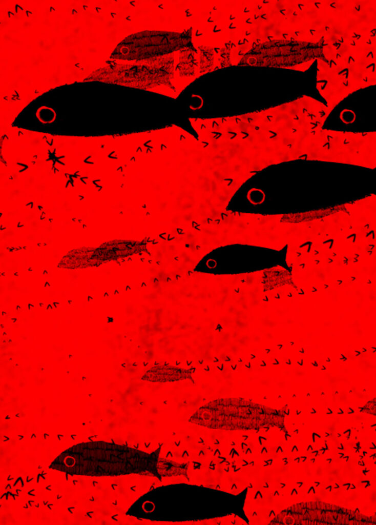 Igor Imhoff - FILE FESTIVAL