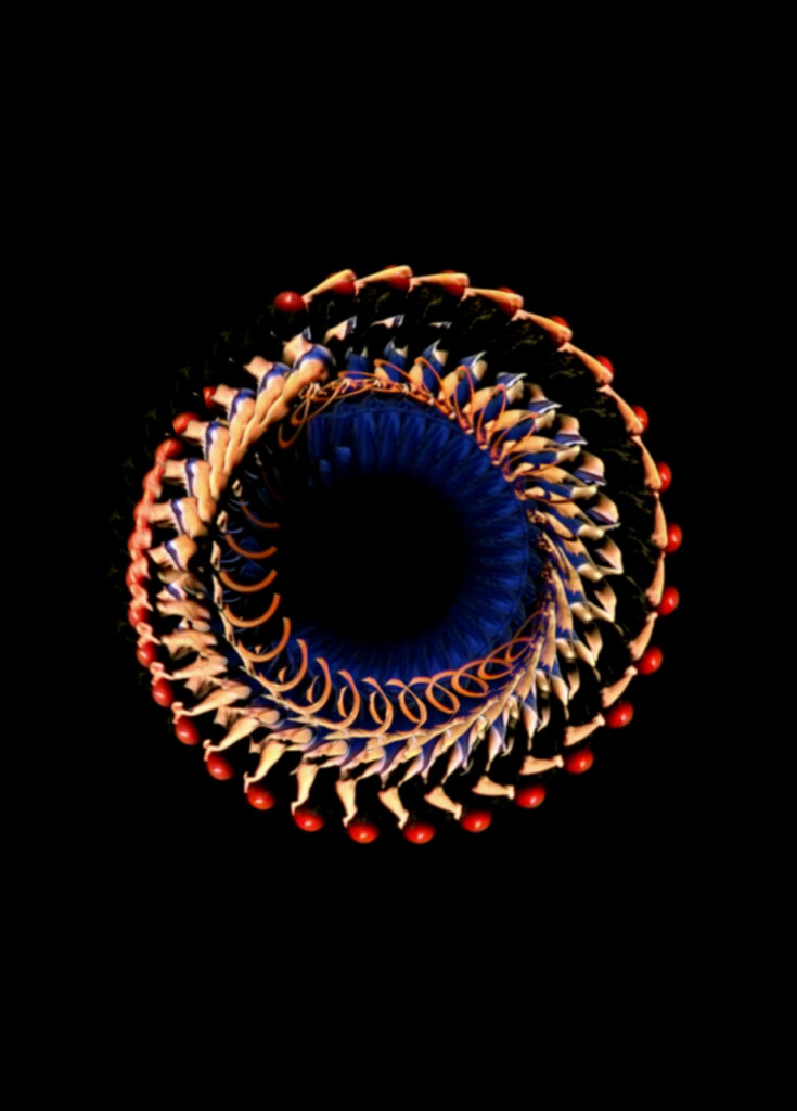 Circular - FILE FESTIVAL