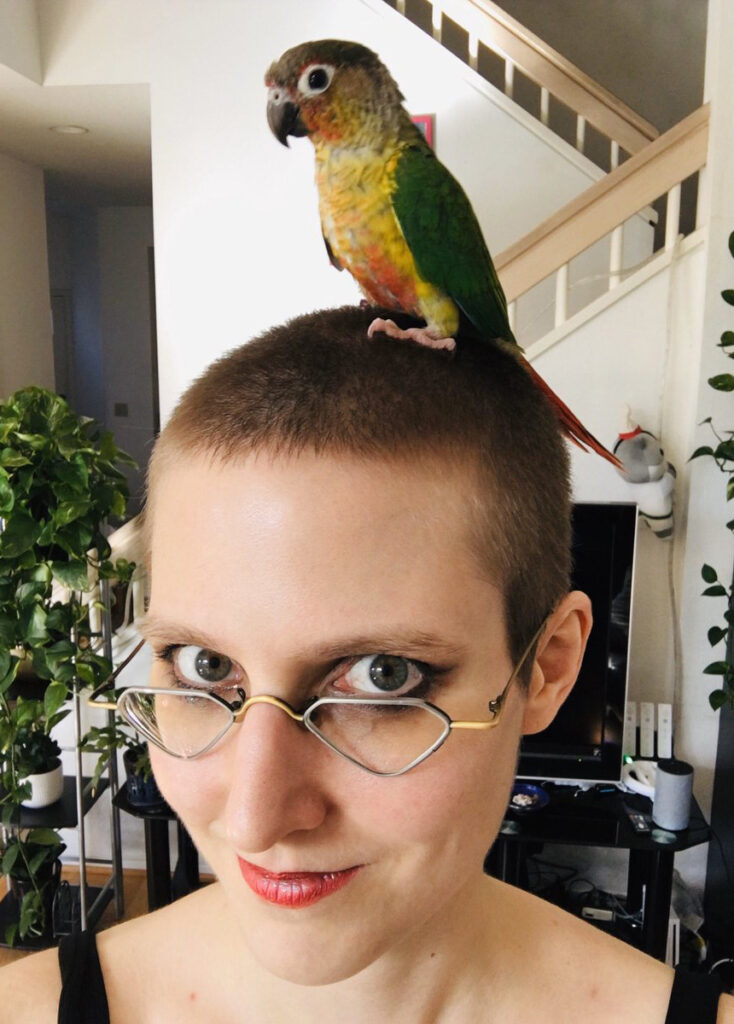 Nathalie Lawhead - FILE FESTIVAL