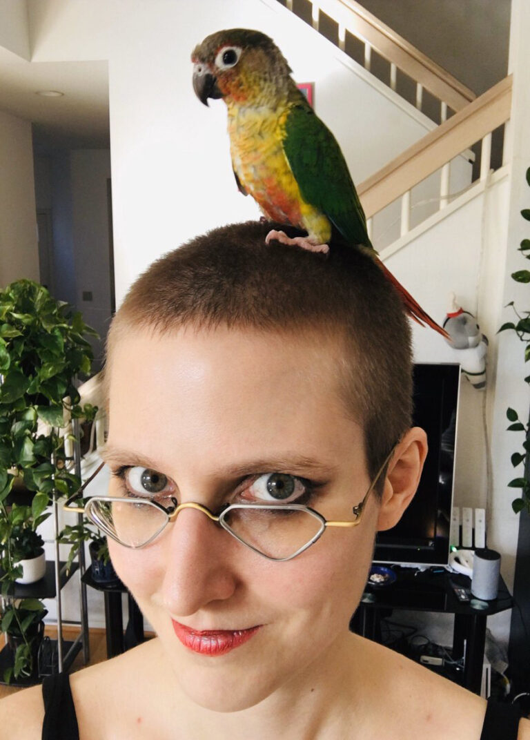 Nathalie Lawhead - FILE FESTIVAL