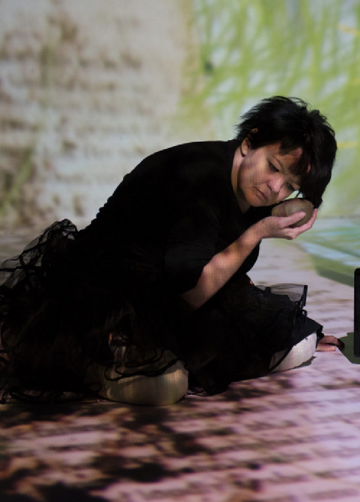 LiZ Solo - FILE FESTIVAL