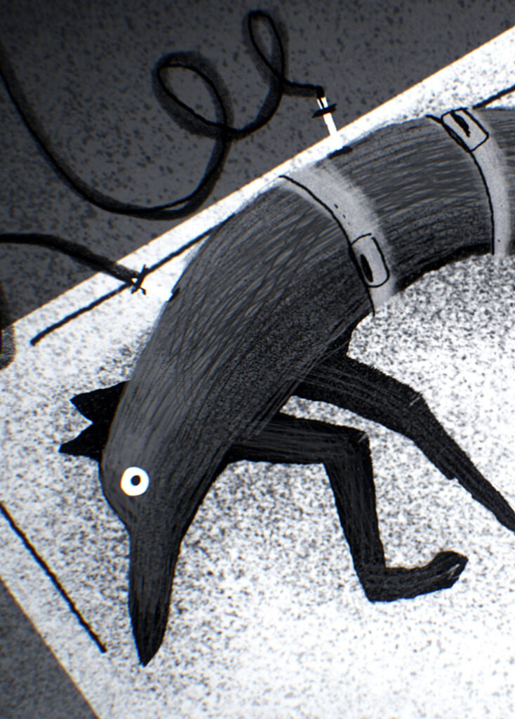 Beakus - FILE FESTIVAL